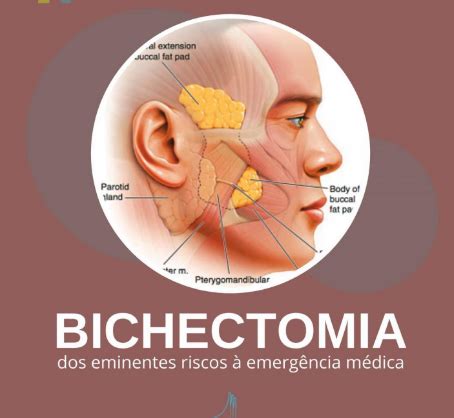 Bichectomia Entenda Quais Os Riscos Do Procedimento Para Afinar O