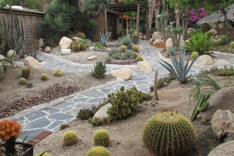 45 Cactus Garden Ideas