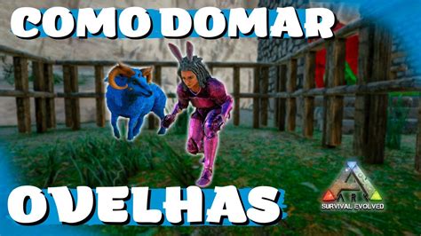 COMO DOMAR OVELHA No ARK SURVIVAL EVOLVED YouTube