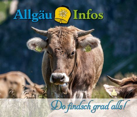 Allgäuer Urlaubsportal Unterkünfte für Ihren Urlaub im Allgäu
