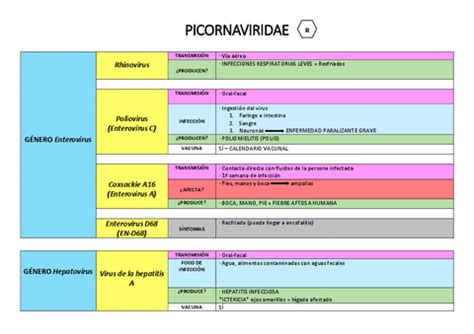 CLASIFICACION VIRUS ARN PDF Pdf