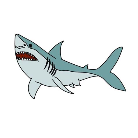 Lbumes Imagen Como Dibujar Un Tiburon Para Ni Os Cena Hermosa