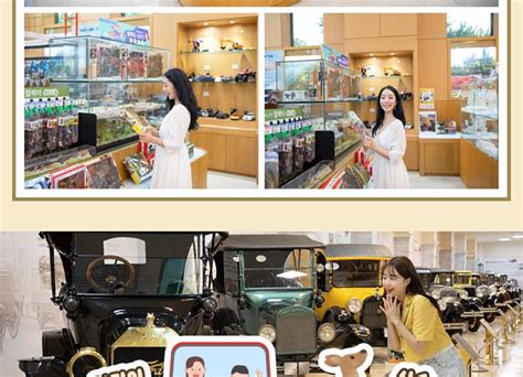 제주 세계 자동차 피아노 박물관 티켓 클룩 Klook 한국