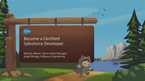 Become A Certified Salesforce Developer Salesforce Live