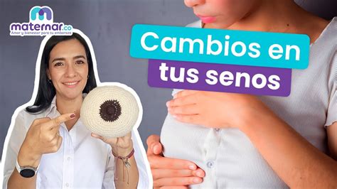Descubre los cambios que experimentarán tus senos durante el embarazo