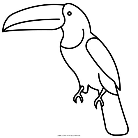 Tucan Dibujo Para Colorear
