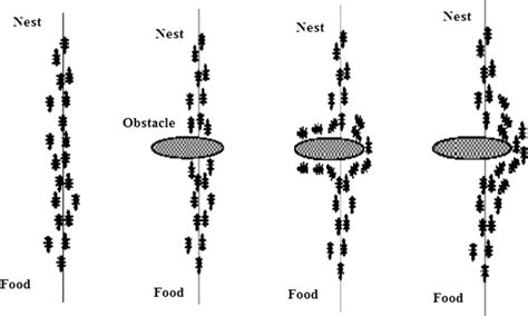 illustration of ant colony optimization process download scientific diagram