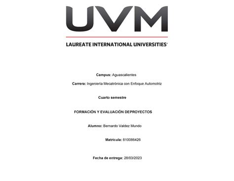 Aactividad 8 Cuadro Comparativo Formacion Y Evaluacion De Proyectos