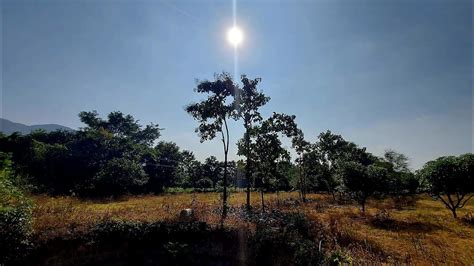 Madurai 7 5 Acers Agri Land For Sale Vadipatti MettuPatti Circle By