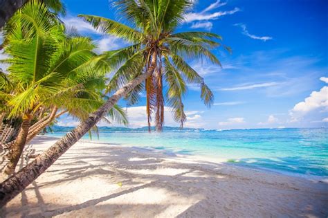 Images de Plage Tropicale Téléchargement gratuit sur Freepik