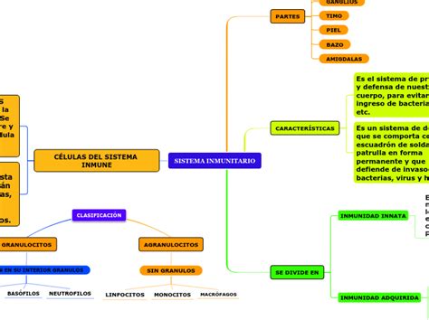SISTEMA INMUNITARIO Mind Map