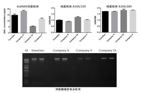 EasyPure Universal Plant Genomic DNA Kit 北京全式金生物 TransGen Biotech 官方主页