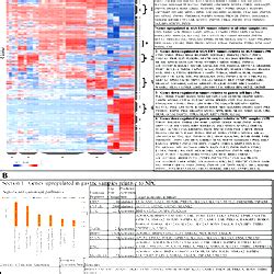 Hierarchical Clustering Heat Map Of Gene Expression Of All Samples And