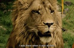 The Chronicles Of Narnia Aslan Golden Fur Gifdb