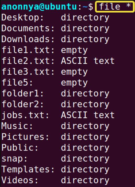 The File Command In Linux 9 Practical Examples LinuxSimply