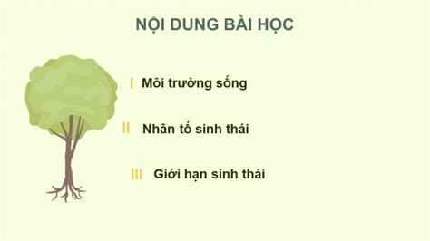 Tải giáo án Powerpoint KHTN 8 KNTT Bài 41 Môi trường và các nhân tố
