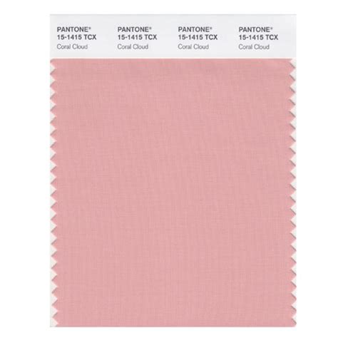 Zanzara Ingrandimento Canto Pantone Tcx Nazionalismo Guadare