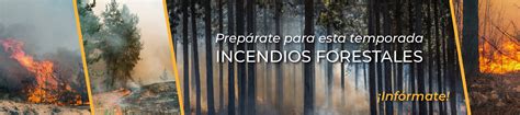 Temporada de Incendios Forestales 2022 Centro Nacional de Prevención