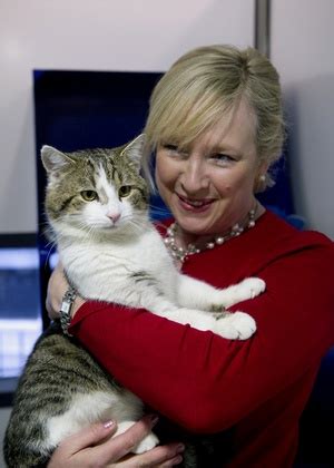 Gato é a mais nova autoridade britânica NE Sua fonte de Cultura POP