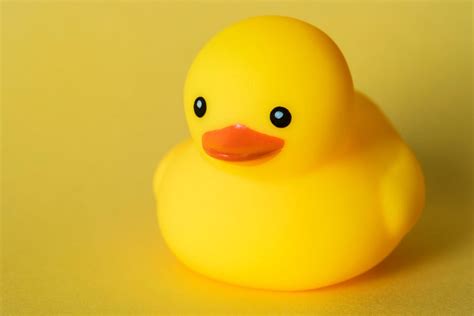 Rubber Duck Debugging The Ultimate Solution To Debugging Code