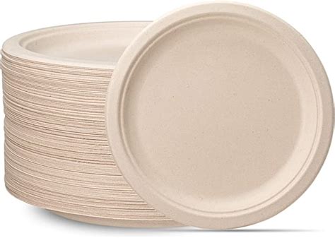 100 Compostable 10 Inch Heavy Duty Plates 125 Pack Eco Friendly