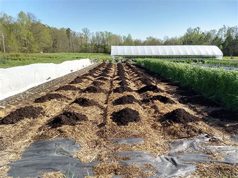 The Evolution Of No Till Farming Practices On Spring Forth Farm