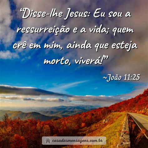 Disse lhe Jesus Eu sou a ressurreição e a vida quem crê em mim