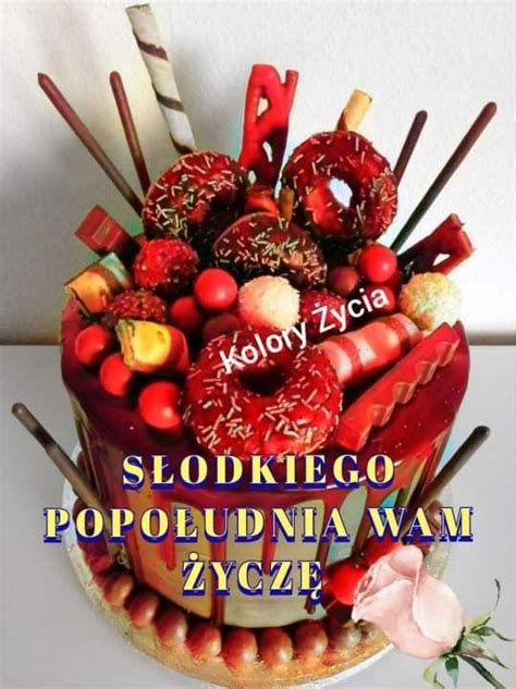 Pin di Małgorzata Klimek su Pomys u0142y do ogrodu nel 2024