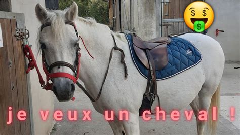 Combien Co Te Un Cheval Youtube