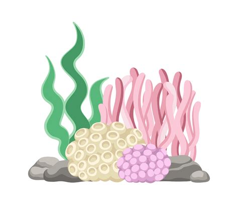Coral Arrecifes Con Algas Algas Marinas Y Rocas Vector Dibujos