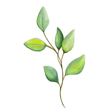 Green Leaves Clipart Set Vector Art Graphics Freevector Clip