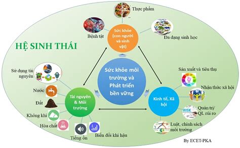 Tìm hiểu sức khỏe môi trường là gì và tác động của nó