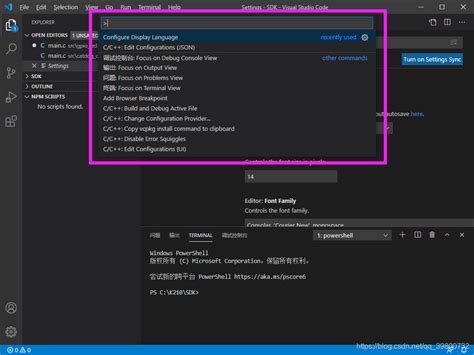 1、vscode汉化以及如何设置跳转到函数定义