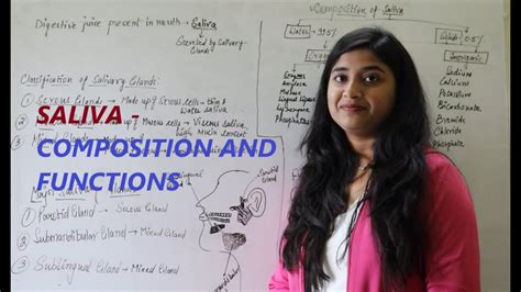 Saliva Composition And Functions Youtube