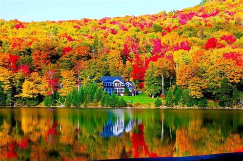 Acadia National Park And The Best Of Maine Maestro Tours