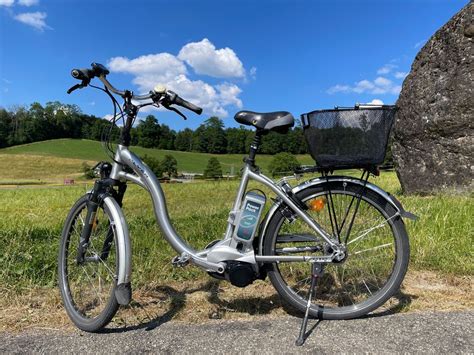 Flyer E Bike C Defekt Mit Akkus Kaufen Auf Ricardo