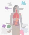 Diversité origine et évolution du microbiote humain Lelivrescolaire fr