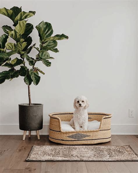 Fabulous And Fresh Farmhouse DIYS And Ideas The Cottage Market Cool