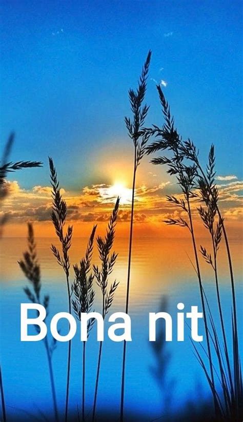 Pin de Pilar Castaño en bona nit Gifs de buenas noches Chistes de