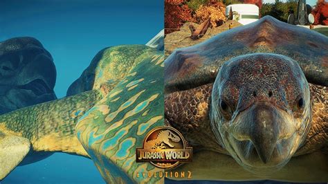 New Archelon Marine Species Pack Showcase Jurassic World
