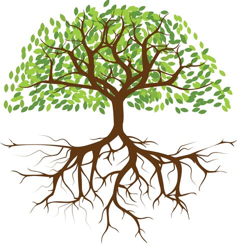 Library Of Tree Roots Clipart Transparent Png Files