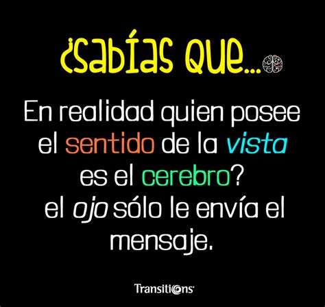 Dato Curioso Datos Curiosos Sabias Que Datos Curiosos Datos