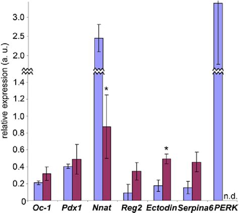 rt pcr validation of microarray results p1 pancreatic wt blue and download scientific