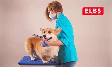 estética canina Escuela ELBS