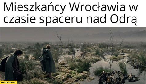 Nowe memy o Wrocławiu internauci nie mają litości dla Sutryka Odry