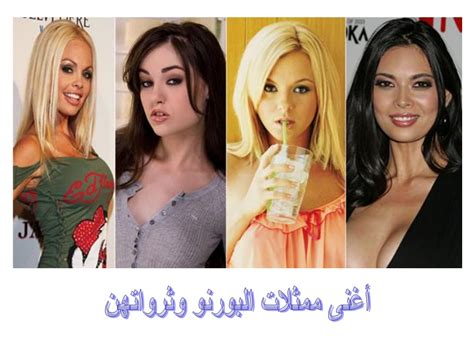 نجمات الافلام الاباحية العرب