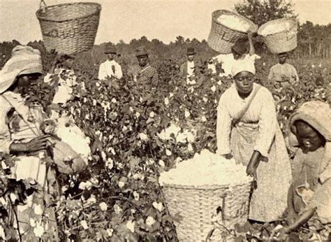 7 Things About The Field Workers During Slavery That You May Not Know