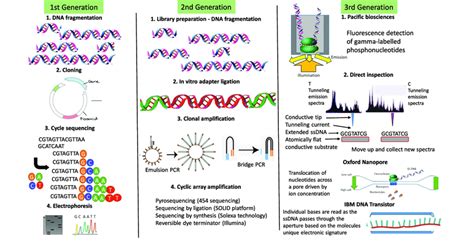 Next Generation Sequencing Machine