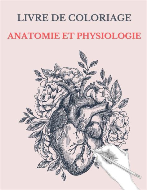 Buy Livre de coloriage anatomie et physiologie Anatomie à colorier