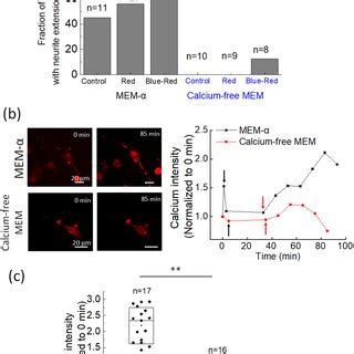 A Probability Of N2a Cells With Neurite Extension Or Regrowth In